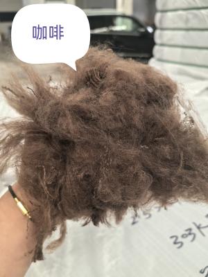 China Recycled Polyester Staple Fiber 3D 51mm Non-Siliconized for sale