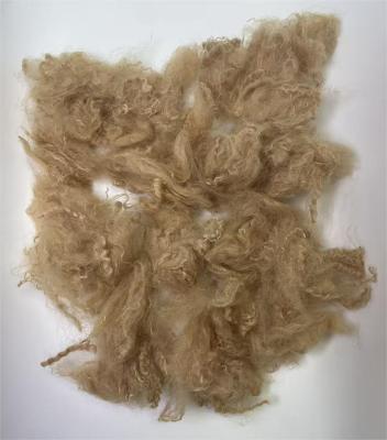 China Recycled Polyester Staple Fiber with 38-64mm Fiber Cut Length High Tear Resistance and 0.4% Moisture Regain for sale