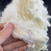 China Virgin Silicone-Free Flame Retardant Hollow Conjugated Polyester Staple Fiber 51mm for sale