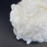 China 1.33D*38mm Lyocell Fiber - Skin-friendly, Breathable, and Highly Moisture-Absorbing Polyester Staple Fiber for sale