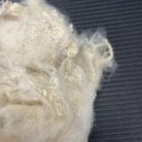 China 4D×51mm Eco-Friendly Recycled Low Melt Fiber for Good Bonding in Textile Production for sale