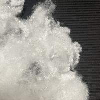 China 15Dx64mm Flame Retardant Recycled Fire Resistant Hollow Fiber for Safety Textile Filling for sale