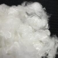 China 1.56D*51mm Cationic Fiber with High Color Fastness and Silky Softness for Premium Textile Applications for sale