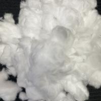 China 1D*4mm PEPP Polyester Staple Fiber  Ultra-Fine High Strength Smooth for Non-Woven & Industrial Textiles for sale