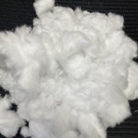 China 1D*4mm PEPP Polyester Staple Fiber  Ultra-Fine High Strength Smooth for Non-Woven & Industrial Textiles for sale