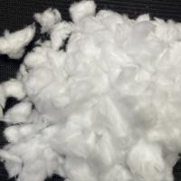 China 1D*4mm PEPP Polyester Staple Fiber  Ultra-Fine High Strength Smooth for Non-Woven & Industrial Textiles for sale