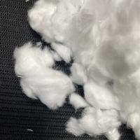 China 1D*4mm PEPP Polyester Staple Fiber  Ultra-Fine High Strength Smooth for Non-Woven & Industrial Textiles for sale