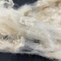 China Off-White Low-Melt Fiber 4D×51mm, Specifications can be customized Stable Bonding for Automotive Interior raw materials for sale