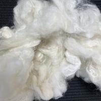 China Premium 6D*51mm lyocell 70J Fiber, Soft Skin-Friendly Natural Cellulose Textile Raw Material for Apparel Bedding Making for sale