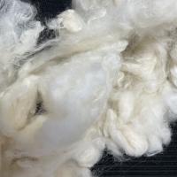 China Premium 6D*51mm lyocell 70J Fiber, Soft Skin-Friendly Natural Cellulose Textile Raw Material for Apparel Bedding Making for sale