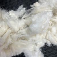 China Premium 6D*51mm lyocell 70J Fiber, Soft Skin-Friendly Natural Cellulose Textile Raw Material for Apparel Bedding Making for sale