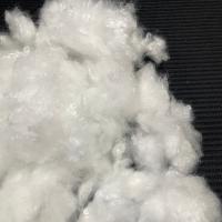 China 2.8D*32MM PBT PET Composite Staple Fiber, Latent Crimp High Elastic Fiber for Knitting Apparel  Excellent Spinnability filling Fiber for sale