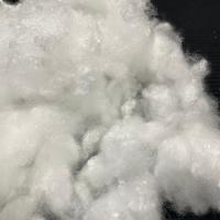 China 2.8D*32MM PBT PET Composite Staple Fiber, Latent Crimp High Elastic Fiber for Knitting Apparel  Excellent Spinnability filling Fiber for sale
