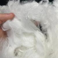 China Natural Mint Fragrance Cooling Staple Fiber 1.4D*38mm, Anti-Odor Quick Dry Textile Raw Staple for sale