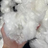 China Bio-based PTT fiber 1.4D*38MM，Replacement of Spandex & Nylon Sustainable Textile Material Can also be used for filling and other purposes for sale