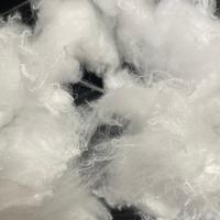 China Spunlace fiber 1.56D*38MM ， Hydrophilic Available Wet Tissue & Cosmetic Cotton Fiber for sale