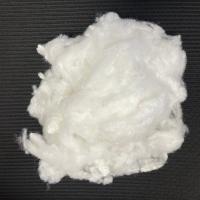 China Shu elastic fiber 3.6D*88MM Plant-Based Soft Durable Shape Retention Down-Like Filling Fibera for sale