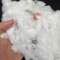 China Shu elastic fiber 3.6D*88MM Plant-Based Soft Durable Shape Retention Down-Like Filling Fibera for sale
