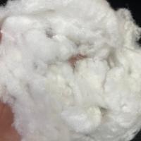China Shu elastic fiber 3.6D*88MM Plant-Based Soft Durable Shape Retention Down-Like Filling Fibera for sale