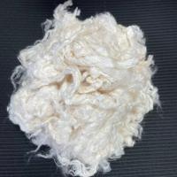China Wormwood viscose fiber 1.33D*38MM，Natural Antibacterial Moisture Wicking Herbal Functional Cellulose Fiber for sale