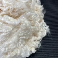 China Wormwood viscose fiber 1.33D*38MM，Natural Antibacterial Moisture Wicking Herbal Functional Cellulose Fiber for sale