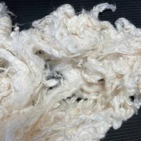 China Wormwood viscose fiber 1.33D*38MM，Natural Antibacterial Moisture Wicking Herbal Functional Cellulose Fiber for sale