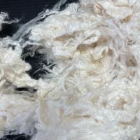 China Wormwood viscose fiber 1.33D*38MM，Natural Antibacterial Moisture Wicking Herbal Functional Cellulose Fiber for sale