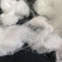 China Two-dimensional virgin polyester fiber for Hard Cotton, Carpet Backing & Packaging Padding for sale