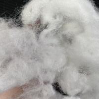China Two-dimensional virgin polyester fiber for Hard Cotton, Carpet Backing & Packaging Padding for sale