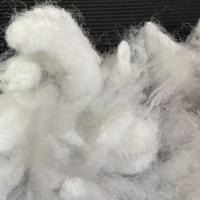 China Two-dimensional virgin polyester fiber for Hard Cotton, Carpet Backing & Packaging Padding for sale