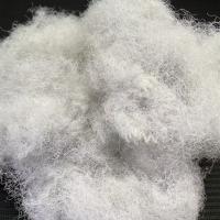 China 70D British colonial  Anti-Deformation Coarse Denier Polyester Fiber 70D*72MM, Virgin Material for Furniture Support Hard Cotton for sale