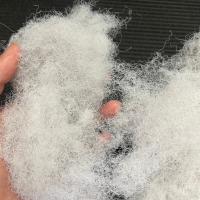 China 70D British colonial  Anti-Deformation Coarse Denier Polyester Fiber 70D*72MM, Virgin Material for Furniture Support Hard Cotton for sale