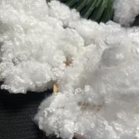 China High Bulk Hollow Silicon‑Free PET Staple Fiber 3D*32MM, Anti‑Clumping Filling Fiber for Plush Toy Pillow Inner Fill for sale