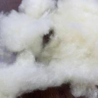 China Yellow Cloudy Polyester Stuffing Fiber 3D*38MM, High Resilience Pre‑Opened Filling Fiber for Stuffed Dolls & Home Textile for sale