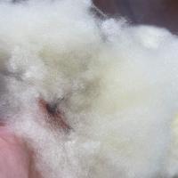 China Yellow Cloudy Polyester Stuffing Fiber 3D*38MM, High Resilience Pre‑Opened Filling Fiber for Stuffed Dolls & Home Textile for sale