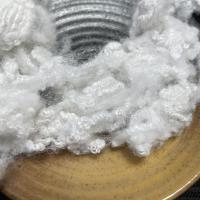 China Nanoscale white Bamboo Charcoal Modified Polyester Fiber, Durable Wash-Resistant Functional Fiber for Functional Textiles for sale