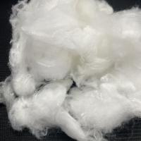 China F800 Flame Retardant Polyester Staple Fiber,Intrinsic Self-Extinguishing FR Fiber for Apparel & Home Textile for sale
