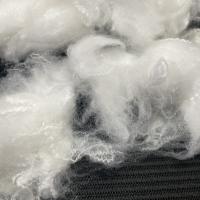 China F800 Flame Retardant Polyester Staple Fiber,Intrinsic Self-Extinguishing FR Fiber for Apparel & Home Textile for sale