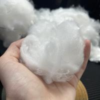 China F800 Flame Retardant Polyester Staple Fiber,Intrinsic Self-Extinguishing FR Fiber for Apparel & Home Textile for sale