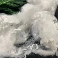 China 3D graphene polyester fiber Permanent Functional Regular Fiber Far Infrared Antibacterial Anti-Static Spinning Fiber for sale