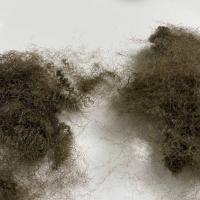 China Two-dimensional hard cotton brown black silicone-free fiber for Hard Cotton ，Filter Wadding & Industrial Filter for sale