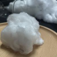 China Multi Hydrophilic composite short fiber for Can absorb water multiple times and can be used as the absorbent layer of sanitary products or diapers for sale