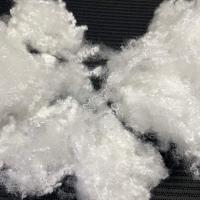 China Super soft Baby Velvet Polyester Staple Fiber,Super soft and fluffy, strong resilience Fine Denier Smooth Fiber for Plush & baby Knit Fabric for sale