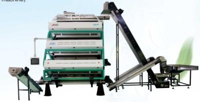 China Vertical Tea Colour Sorter Machine 600-800 KGS/H Optical Sorting Equipment for sale