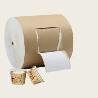China Coated Kraft Back Board CKB 190-340gsm Paper Weight with 15-25gsm PE Coating for Food Packaging for sale