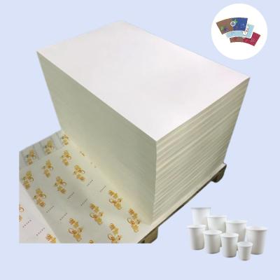 China Waterproof PE Coated Paper Sheets 150-320gsm for Paper Cup Manufacturing - 560x560mm to 960x960mm Sizes for sale