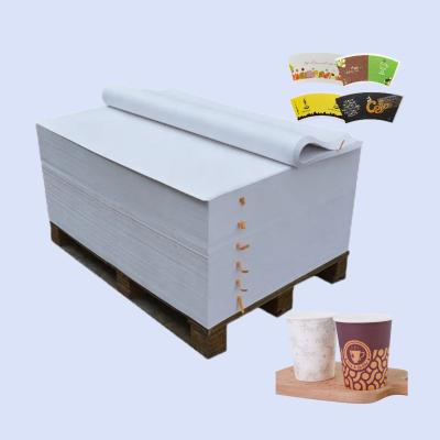 China Food Grade PE Coated Paper Sheets 150-320gsm for Paper Cup Manufacturing - 560×560mm to 960×960mm for sale