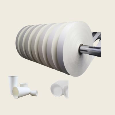 China PE Coated Paper Roll for Paper Cups - 150-320 GSM Base Weight with 10-30 GSM PE Coating for Hot and Cold Drink Containers for sale