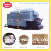 China DZL series Coal fired steam boiler with high Quality for sale