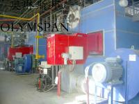 China Horizontal Hot Oil Fired Electric Thermal Oil Boiler With High Heat Efficient for sale